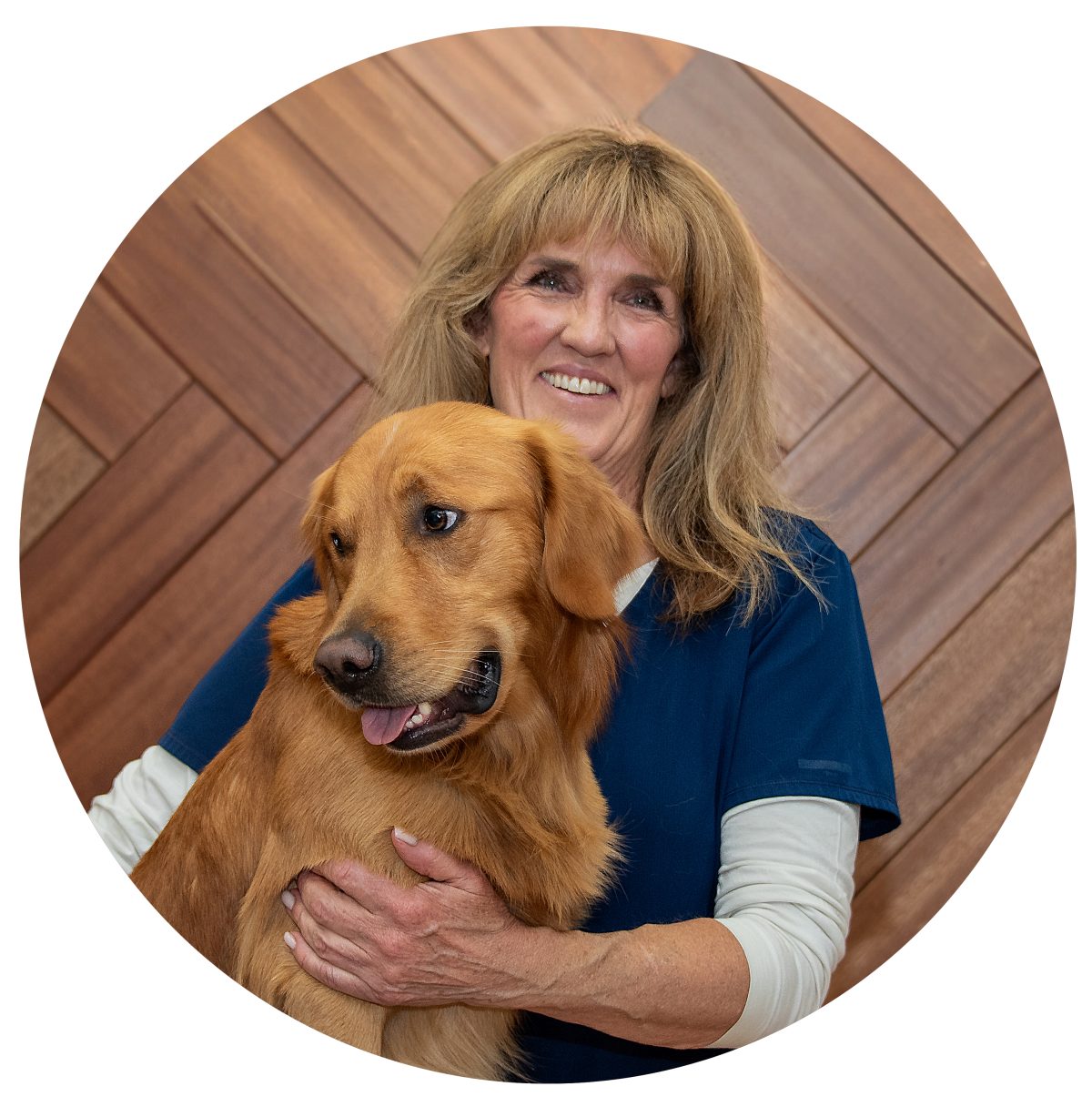 Meet The Team | Barrett Veterinary Practice
